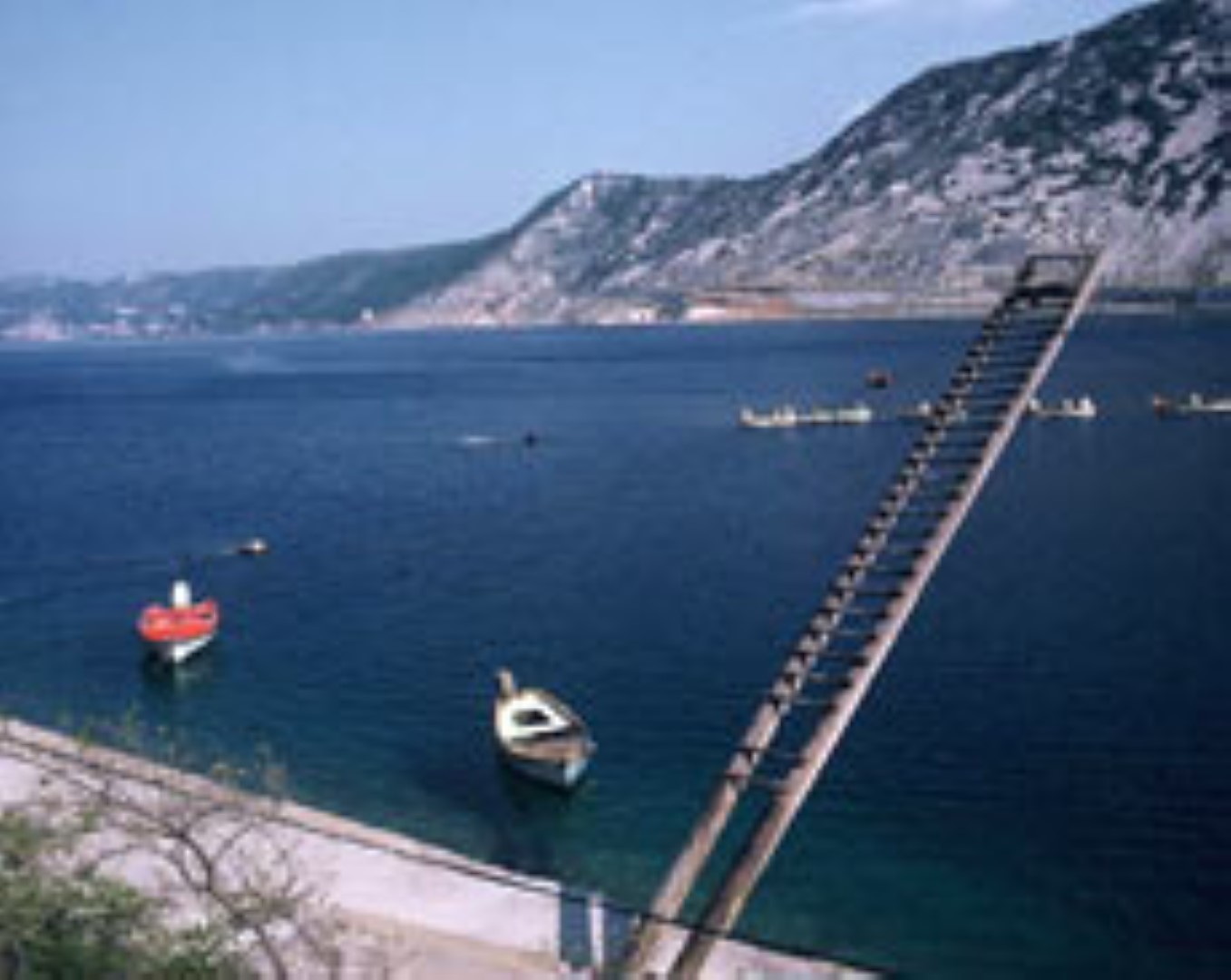 Ferienwohnungen in Bakarac | Direkt-Kroatien.de