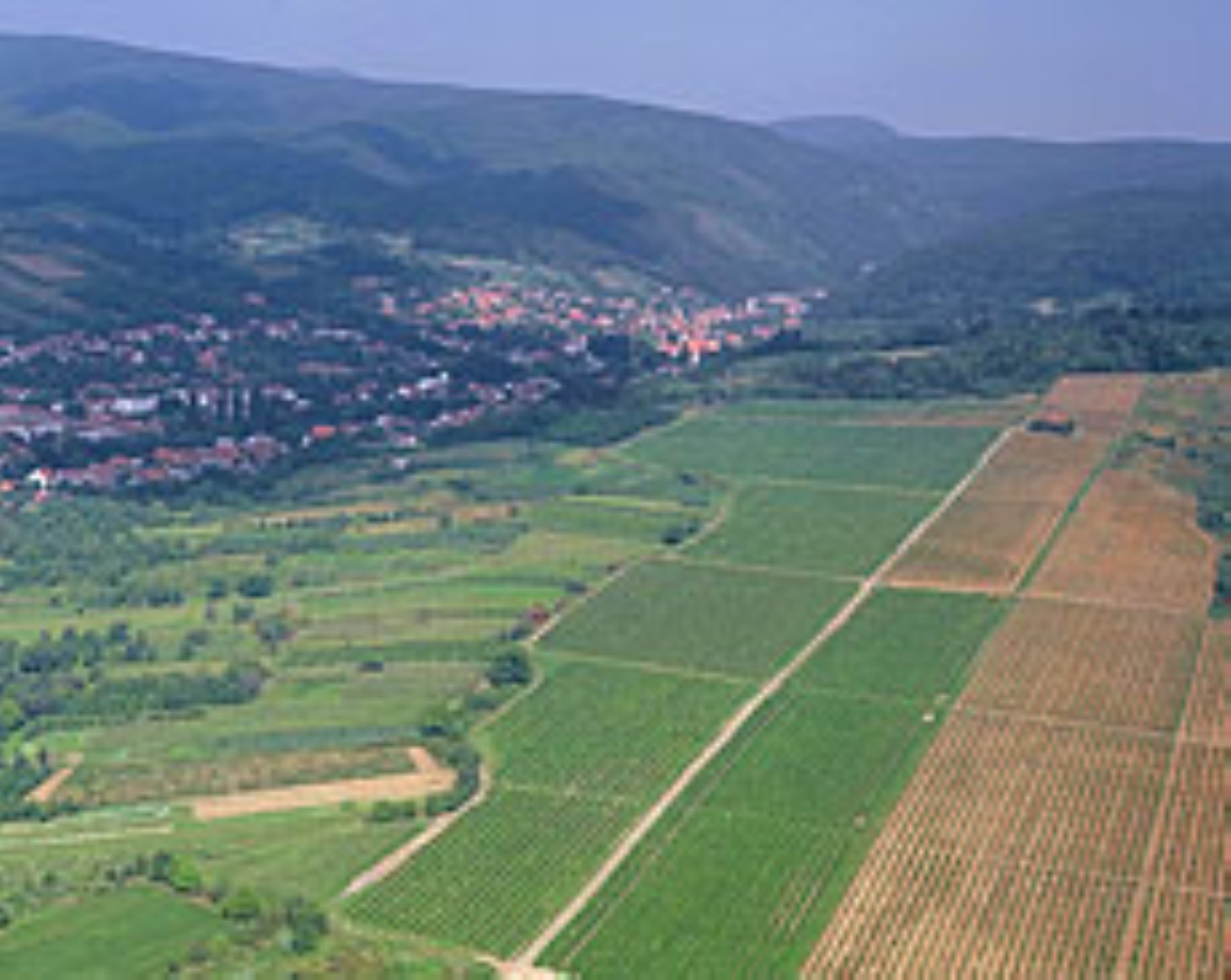 Ferienwohnungen in Staro Petrovo selo | Direkt-Kroatien.de